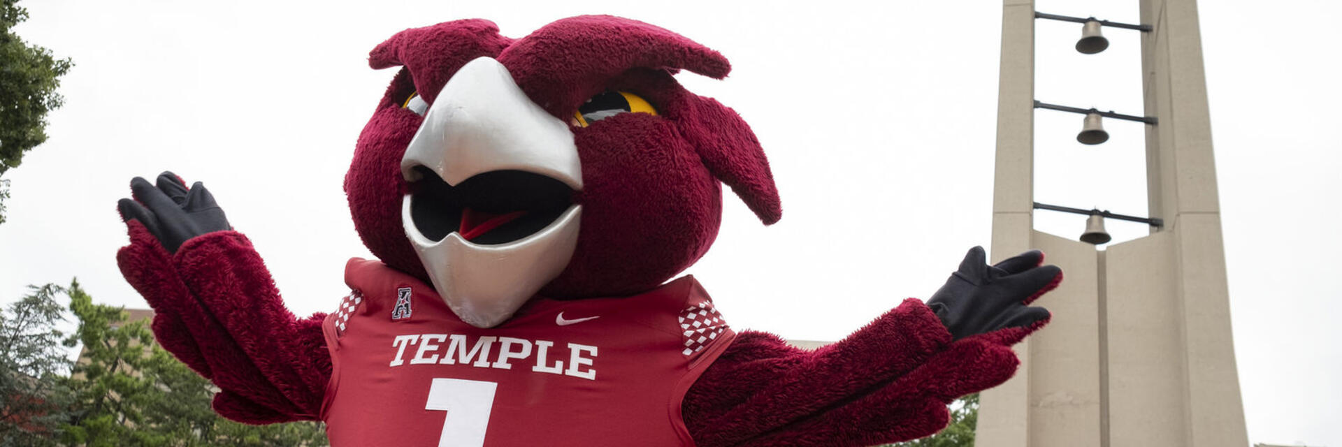 Next Steps for | The Temple University Parent & Family Experience